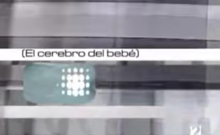 Asociación Matronas Extremadura | EL CEREBRO DEL BEBÉ.